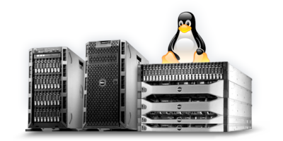 Choosing the right hosting package for your business